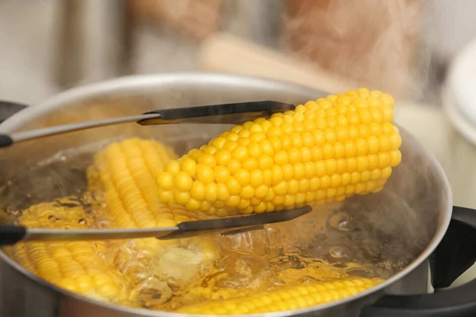 ¿Cómo saber si el maíz está cocido? - NewFoodHub