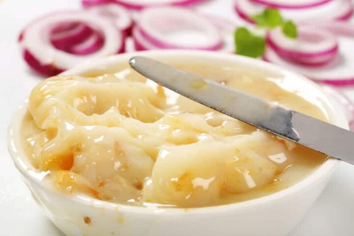 Los 10 mejores sustitutos de la grasa de pato - NewFoodHub